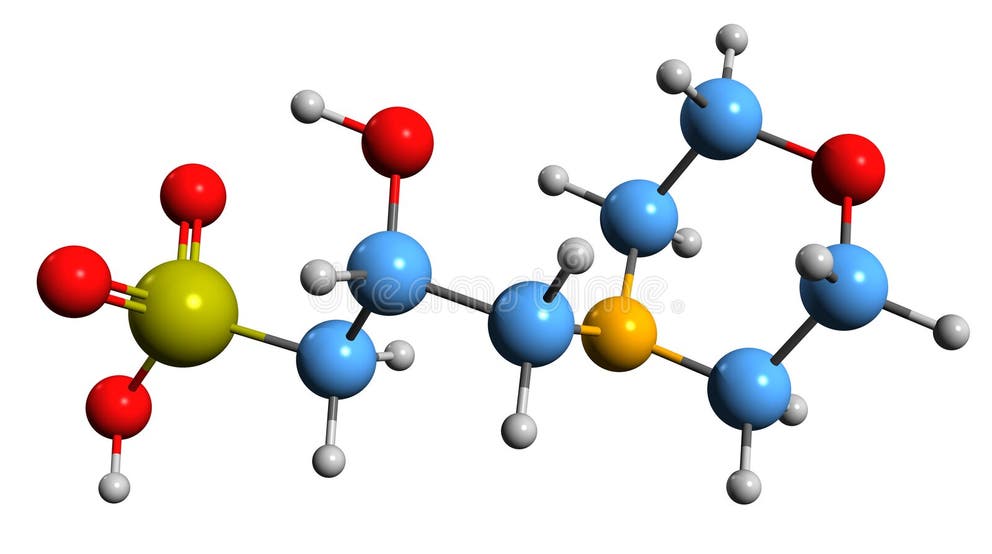 Mopso Stock Illustrations – 1 Mopso Stock Illustrations, Vectors & Clipart - Dreamstime