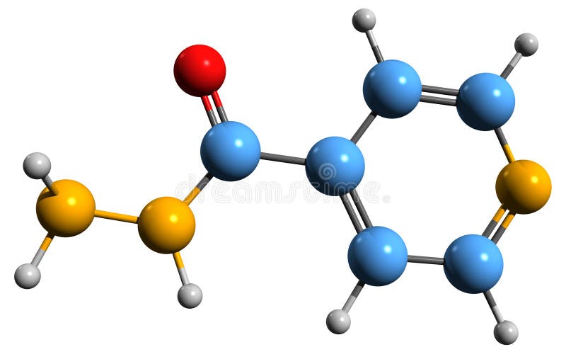 Enzyme Chemical Structure