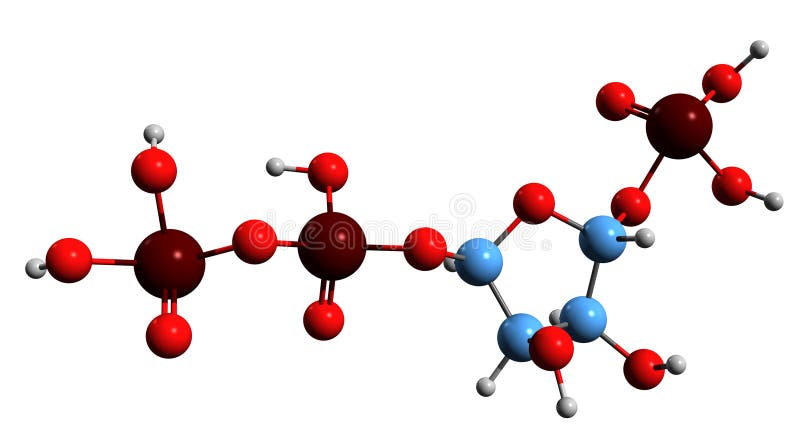 3D Image of Phosphoribosyl Pyrophosphate Skeletal Formula Stock ...