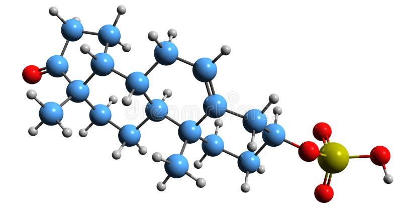 3D Image of Prasterone Sulfate Skeletal Formula Stock Illustration ...