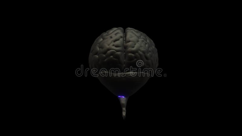 3D Image of a Rotating Brain with Colored Lines Appearing on it and ...