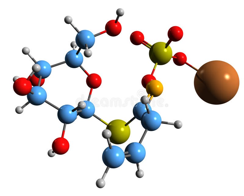 3D Image of Sinigrin Skeletal Formula Stock Illustration - Illustration ...