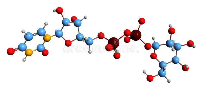 3D Image of Uridine Diphosphate Galactose Skeletal Formula Stock ...
