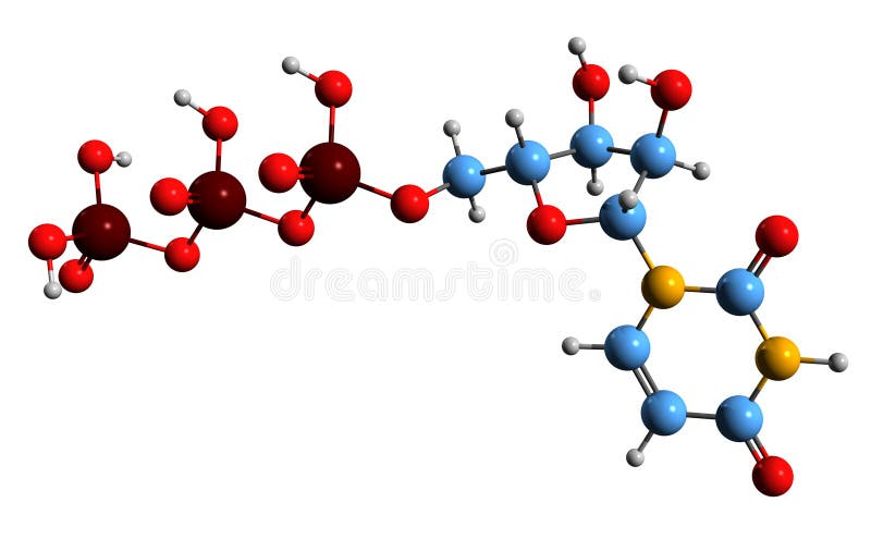 3D Image of Uridine Triphosphate Skeletal Formula Stock Illustration ...
