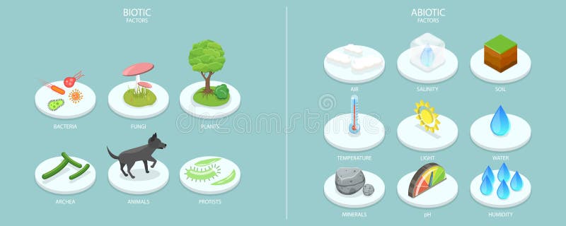 3D Isometric Flat Vector Conceptual Illustration of Biotic and Abiotic ...