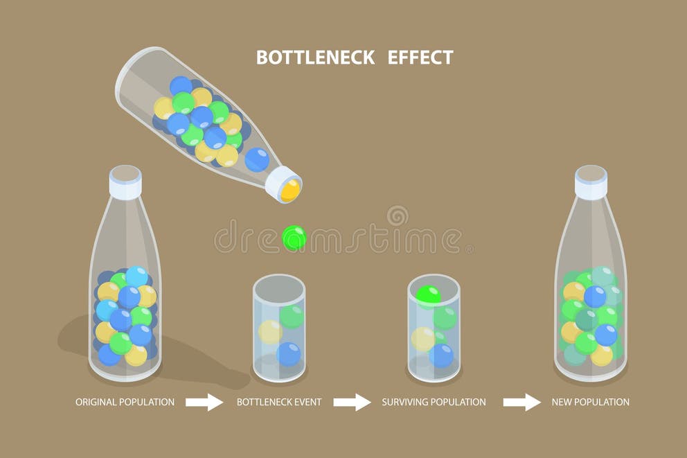 3D Isometric Flat Vector Conceptual Illustration of Bottleneck Effect ...