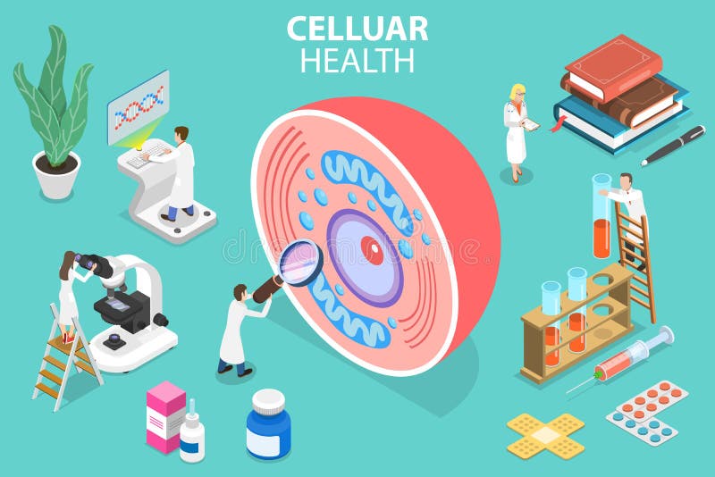 3D Isometric Flat Vector Conceptual Illustration of Cellular Health ...