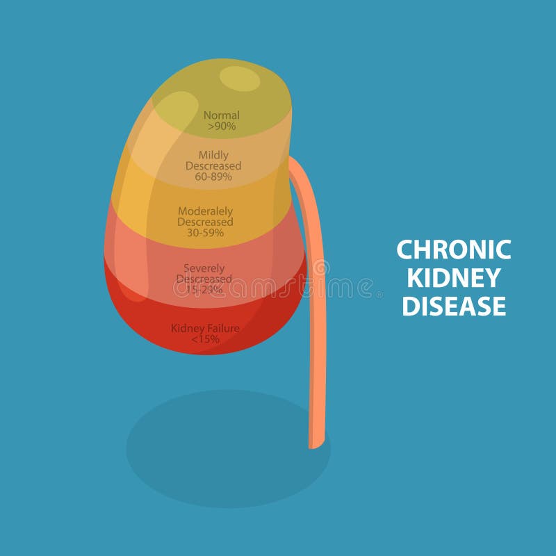 3D Isometric Flat Vector Conceptual Illustration of Chronic Kidney ...