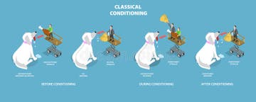 Classical Conditioning Stock Illustrations – 38 Classical Conditioning ...