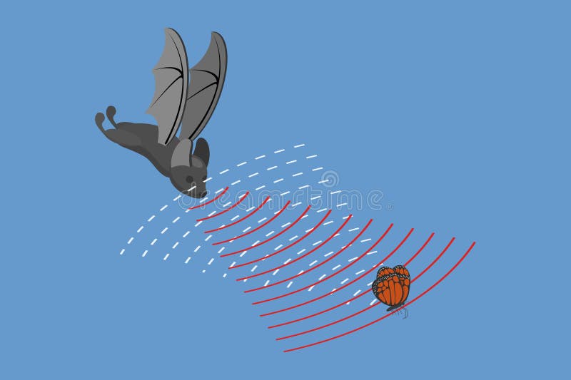 3D Isometric Flat Vector Conceptual Illustration of Echolocation Stock ...