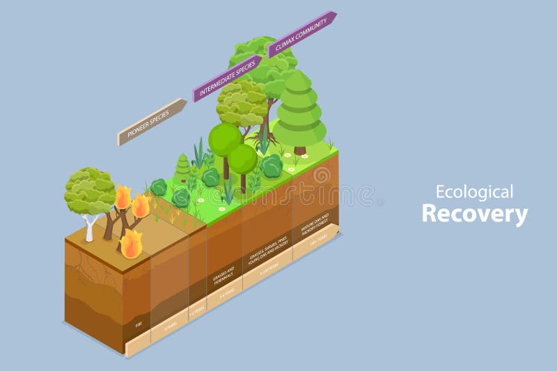 Soil Recovery Stock Illustrations – 118 Soil Recovery Stock ...
