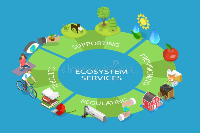 Ecosystem Services Stock Illustrations – 2,204 Ecosystem Services Stock ...