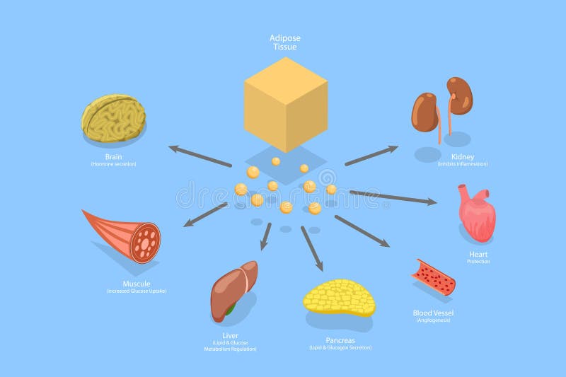 3D Isometric Flat Vector Conceptual Illustration of Effects of ...