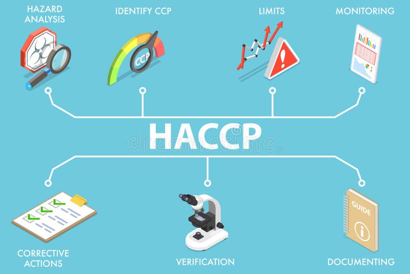 3D Isometric Flat Vector Conceptual Illustration of HACCP. Stock Vector ...