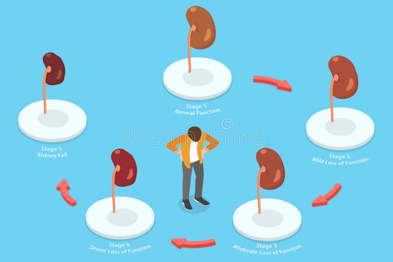 Kidney Failure Stages Stock Illustrations – 20 Kidney Failure Stages ...