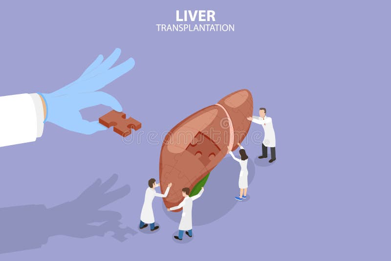 Liver Operation Puzzle Stock Illustrations – 9 Liver Operation Puzzle ...