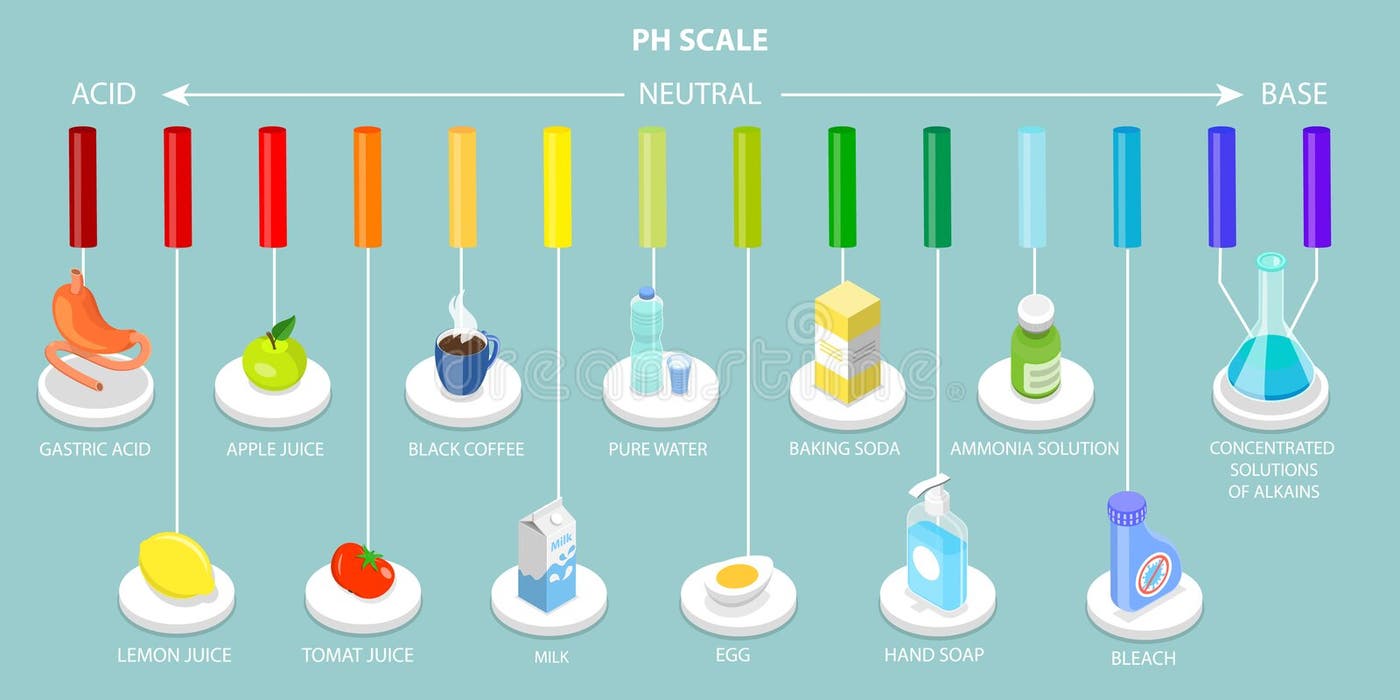 Ph Stomach Stock Illustrations – 45 Ph Stomach Stock Illustrations ...