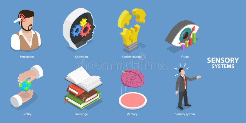 3D Isometric Flat Vector Conceptual Illustration of Sensory System ...
