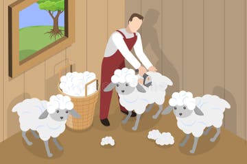 Sheep Shearing Vector Stock Illustrations – 140 Sheep Shearing Vector ...