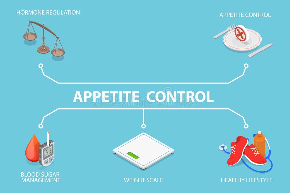 3D Isometric Flat Vector Illustration of Appetite Control Banner Stock ...