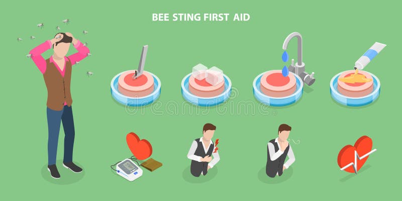3D Isometric Flat Vector Illustration of Bee Sting First Aid Stock ...