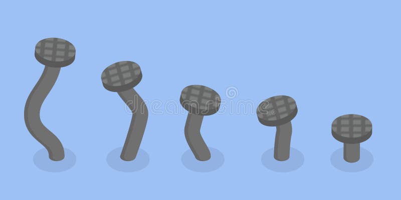 3D Isometric Flat Vector Illustration of from Beginner To Skilled ...