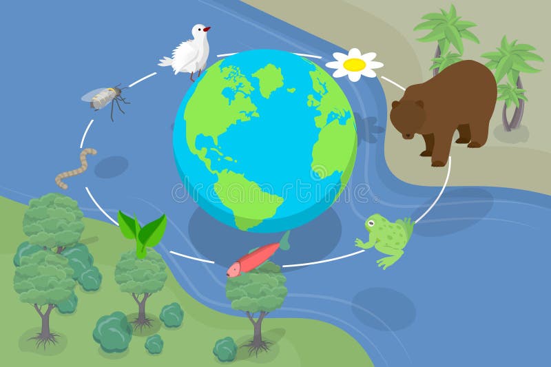 3D Isometric Flat Vector Illustration of Biodiversity Stock Vector ...