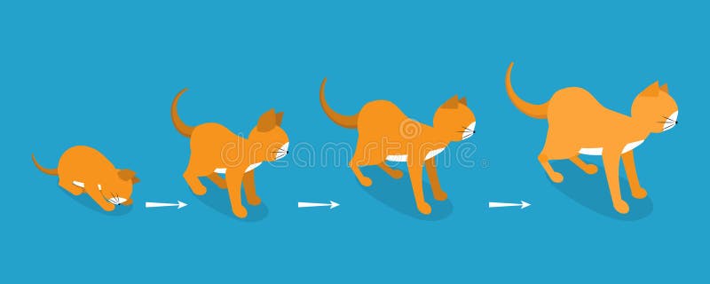 3D Isometric Flat Vector Illustration of Cat Life Cycle Stock Vector ...