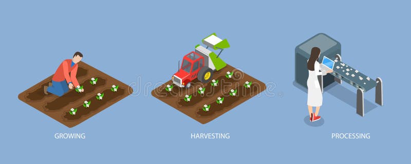 3D Isometric Flat Vector Illustration of Cotton Farm Stock Vector ...
