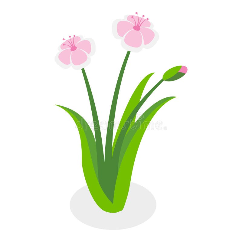 3D Isometric Flat Vector Illustration of Flowers Collection. Item 8 ...