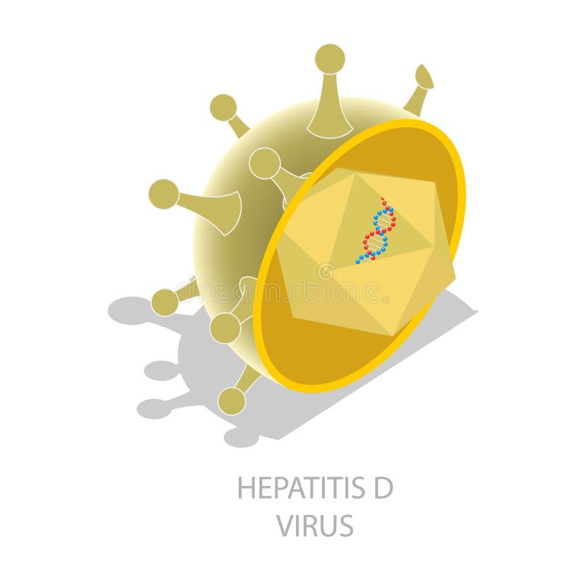 3D Isometric Flat Vector Illustration of Hepatitis Viruses. Item 2 ...