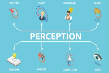 Perception Illustration Stock Illustrations – 23,807 Perception ...
