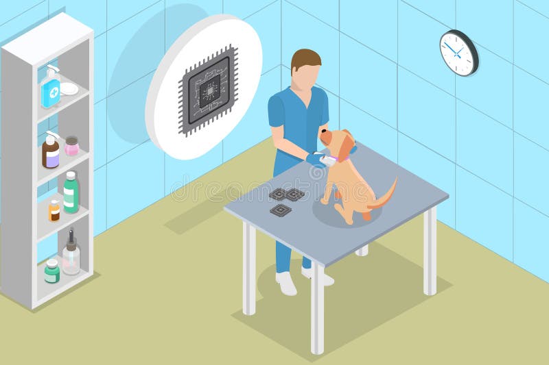 3D Isometric Flat Vector Illustration of Pet Microchipping Stock ...