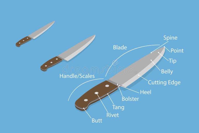 3D Isometric Flat Vector Illustration of Structure of Knife Stock ...