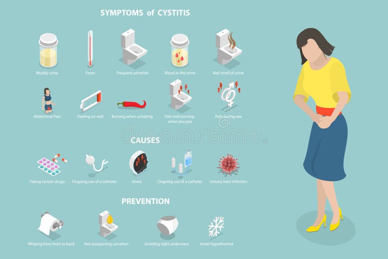 3D Isometric Flat Vector Illustration of Symptoms of Cystitis Stock ...