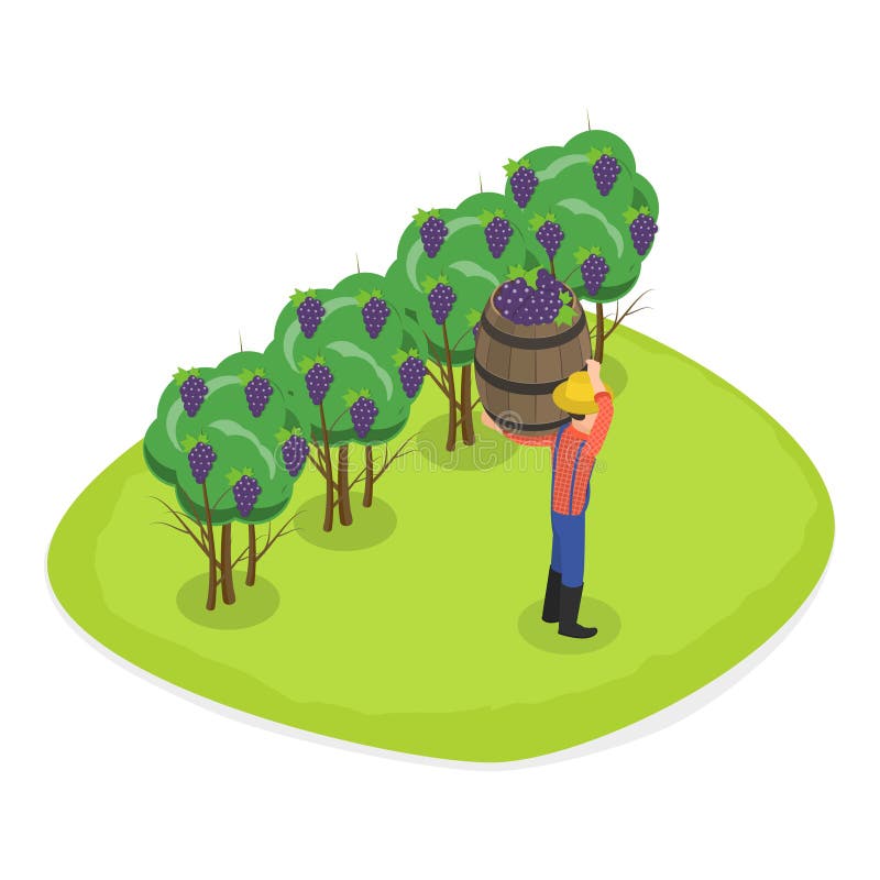 3D Isometric Flat Vector Illustration of Vineyard Harvesting. Item 1 ...