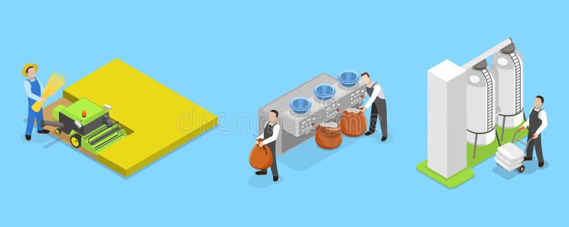 3D Isometric Flat Vector Illustration of Wheat Manufacture Process ...