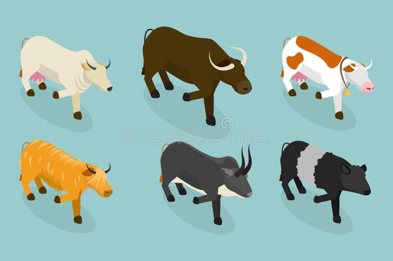 3D Isometric Flat Vector Set of Bulls and Cows Stock Vector ...