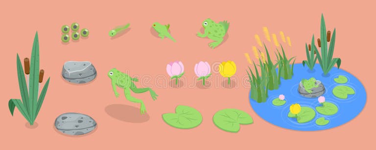 3D Isometric Flat Vector Set of Cartoon Frogs Stock Vector ...
