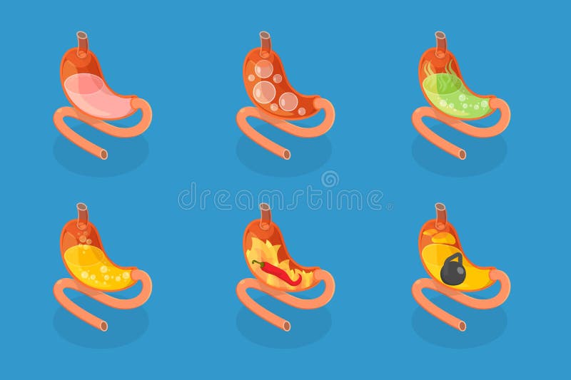 3D Isometric Flat Vector Set of Stomach Problems Stock Vector ...