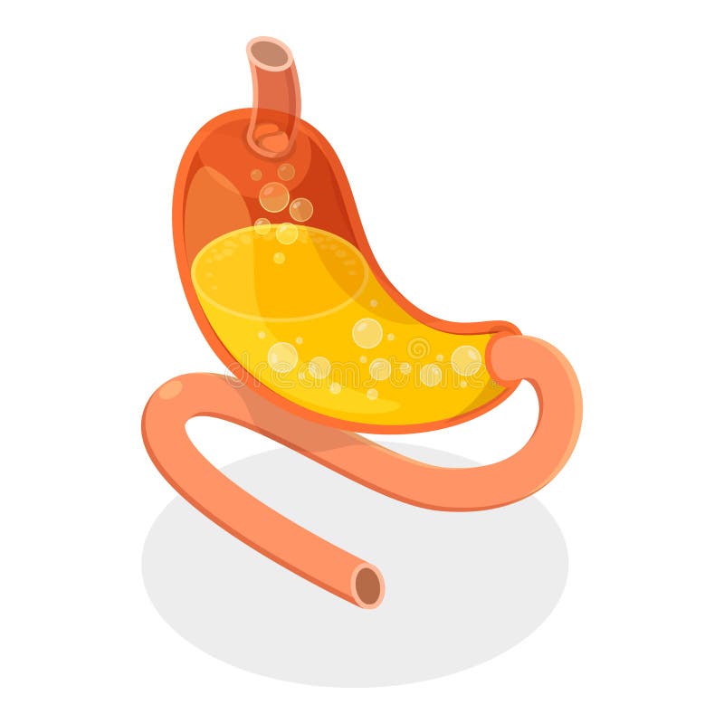 3D Isometric Flat Vector Set of Stomach Problems. Item 3 Stock Vector ...