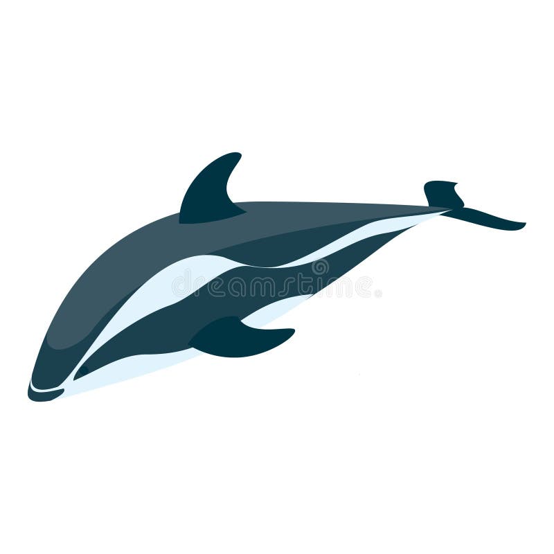 3D Isometric Flat Vector Set of Types of Dolphins. Item 2 Stock Vector ...