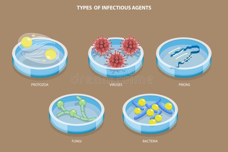 3D Isometric Flat Vector Set of Types of Infectious Agents Stock Vector ... 3D Isometric Flat Vector Set of Types of Infectious Agents Stock Vector ...