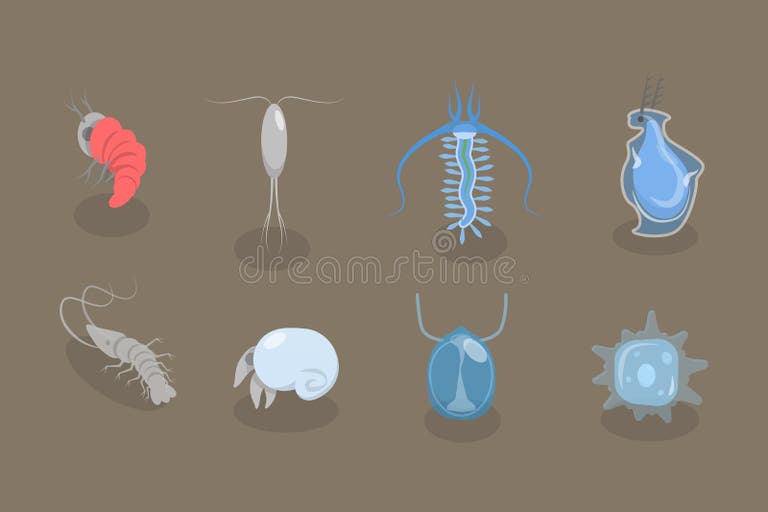3D Isometric Flat Vector Set of Varieties of Plankton Stock Vector ...