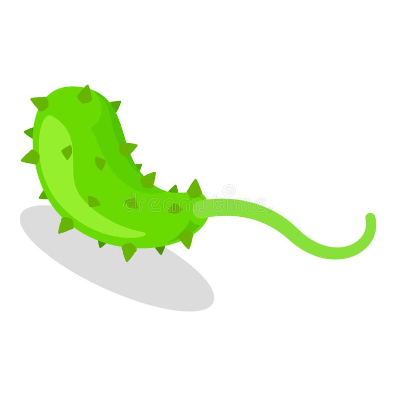 3D Isometric Flat Vector Set of Viruses and Microbes. Item 10 Stock ...