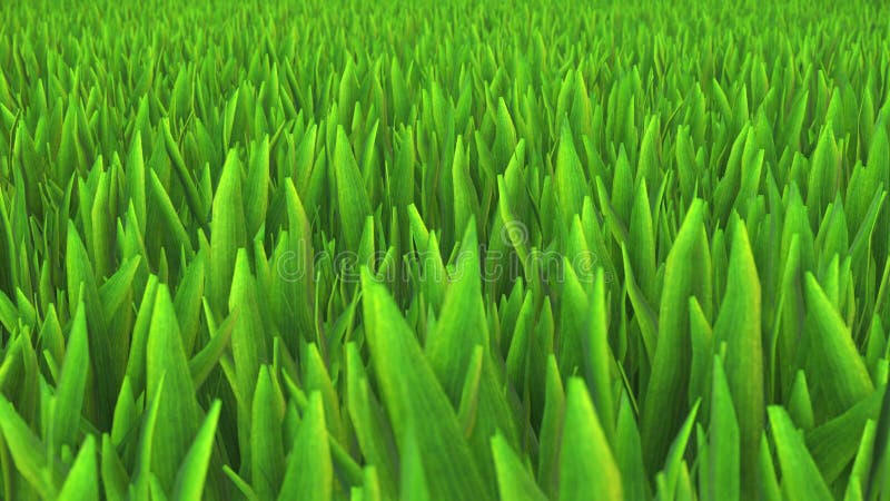 3D Juicy Green Grass Field: Close-Up Horizontal Camera Motion, 4K Loop ...