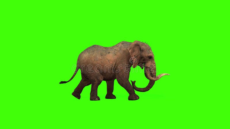 3d Large Elephant Walking on the Ground with a Side View of a Green ...
