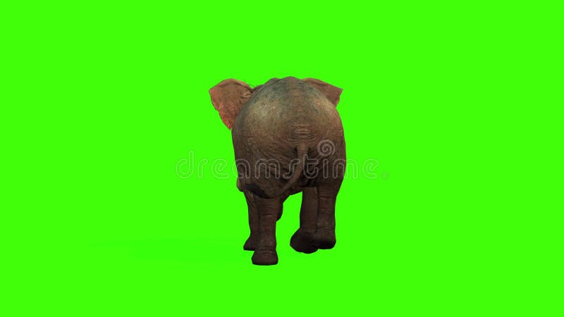 3d Large Elephant Walking on the Ground with a Side-top View of a Green ...
