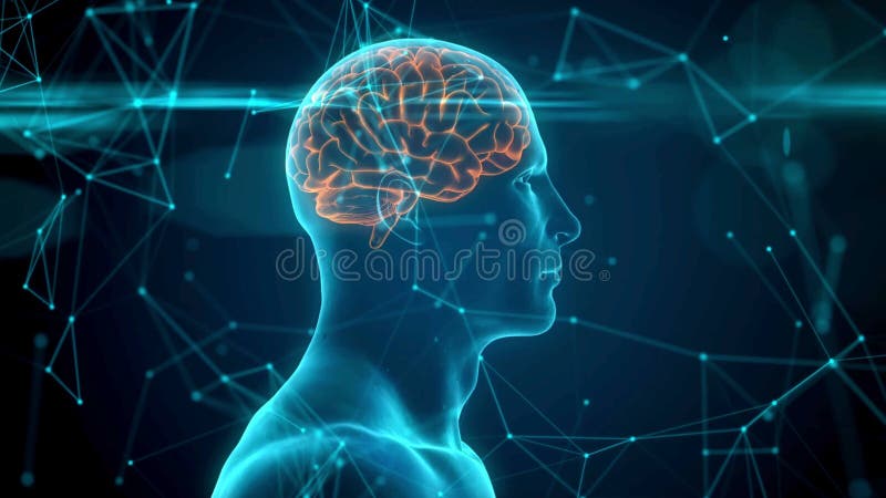 Neurons In Cervello Cycle 3d Animation Of The Neural Network Stock