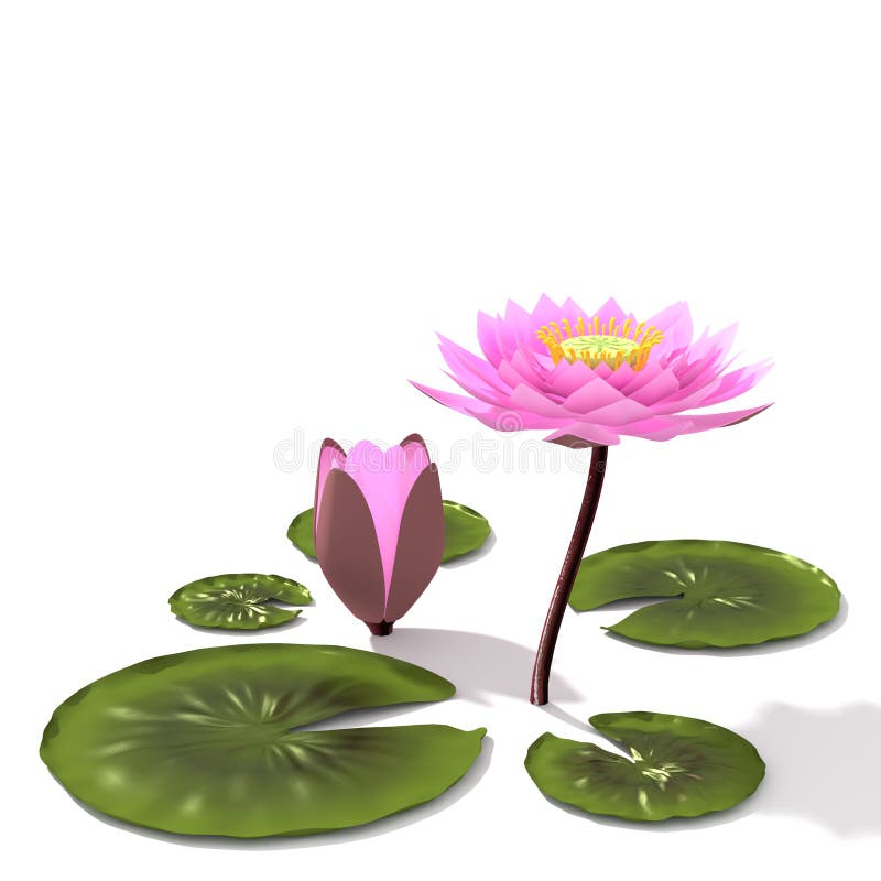 3d Lotus Stock Illustrations – 9,656 3d Lotus Stock Illustrations ...